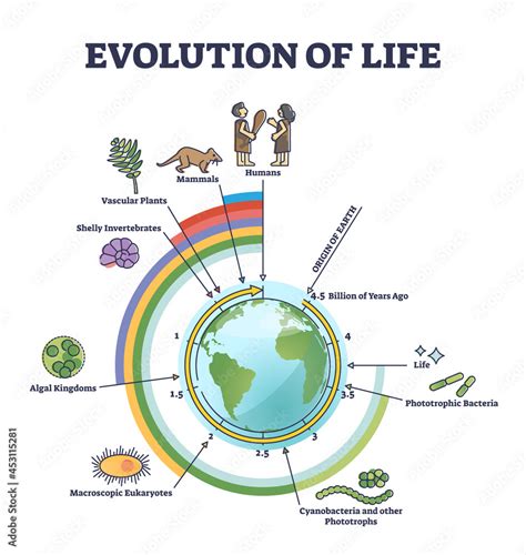 Evolution Of Life With Round Timeline For Living Creatures Development