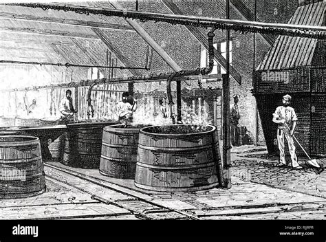 Historical Soap Making At Veronica Green Blog