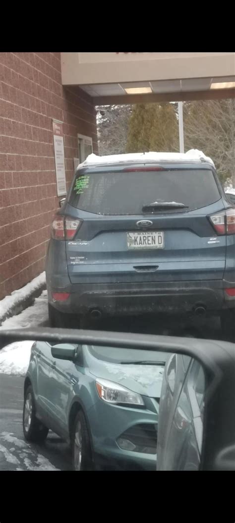 Domestic Cats Are Responsible For Decimating Native Bird Populations