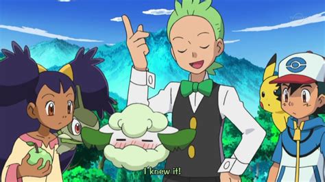 Cilan X Ash