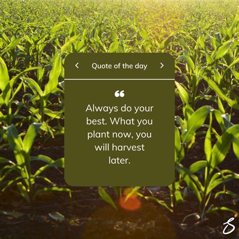 Salmeen Al Ameri Posted On Linkedin