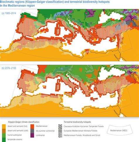 ‘the Agricultural And Food System In The Mediterranean Area Faced With