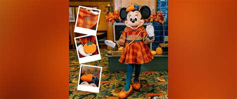 Minnie Mouse Nerdkostuum