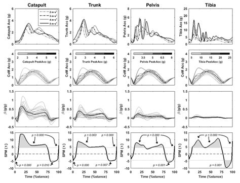 Spm1d Regression Analysis Of The Run Task For The Four Body Worn