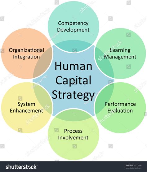 Human Capital Business Diagram Management Strategy Concept Chart