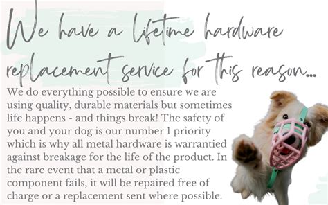 Bite Proof Muzzles Truth Or Myth The Muzzle Movement