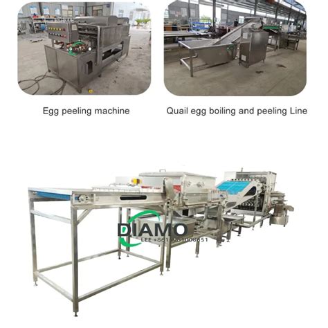 Industry Egg Breaking Machine Liquid Egg Processing 30000eggs H Capacity Egg Breaking Machine