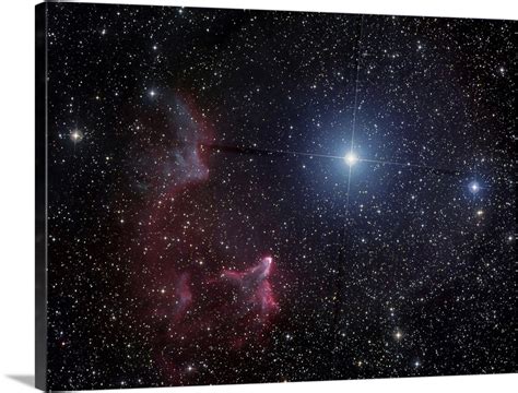 Variable Star Gamma Cassiopeiae With Associated Emission And