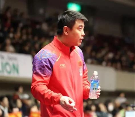 樊振东夺冠后被抱起，网友 王皓终于 举起奥运会金牌了” 极目新闻