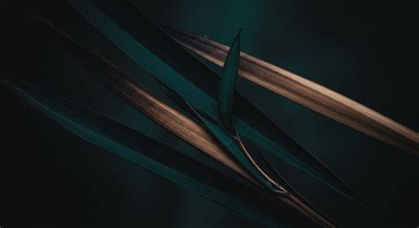 Attribution Vs Contribution → Term