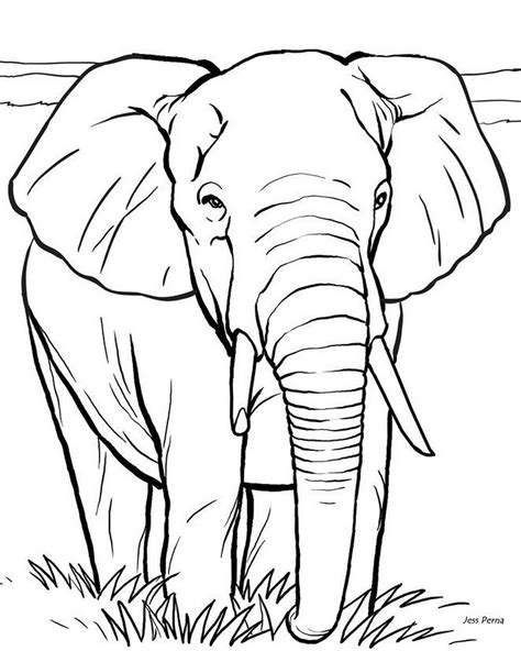 Coloring Pages Elephant Printable Printable Paper Crafts