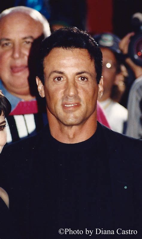 Sylvester Stallone Sylvester Stallone Sylvester Movie Stars
