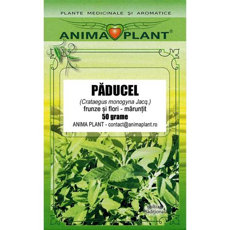 Paducel Crataegus Monogyna Anima Plant 12 00 Lei