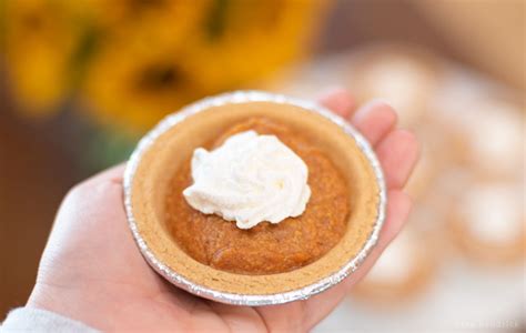 Mini No Bake Pumpkin Pies A Quick And Easy Thanksgiving Treat