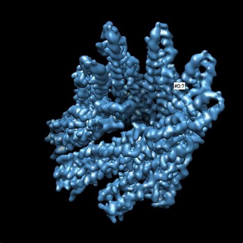 single particle reconstruction of biological macromolecules in electron