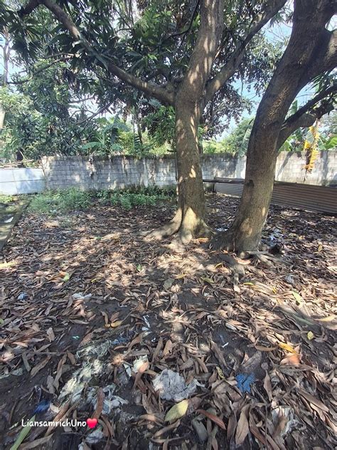 Sindalan Calulut Bulaon Online Selling Lot For Sale 213sqm San Roque