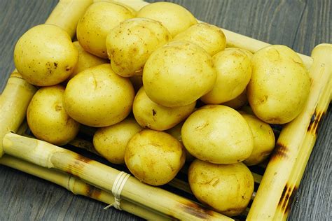 Photo Of Small Potato Background Fresh Vegetables Small Potato Background Image For Free Download