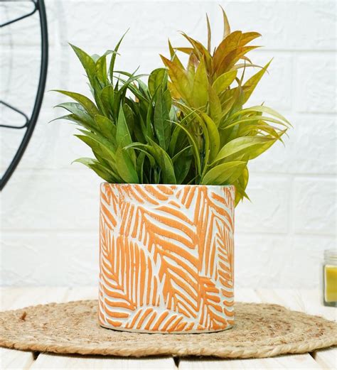 Buy Orange Ceramic Leaf Desk Pot By Gold Dust At 32 Off By Gold Dust Pepperfry