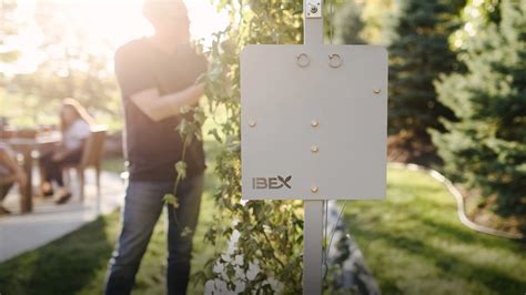 Ibex Growing Systems One Lucky Guitar Ibex Growing Systems One Lucky Guitar