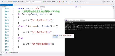 常用的字符函数 csdn博客