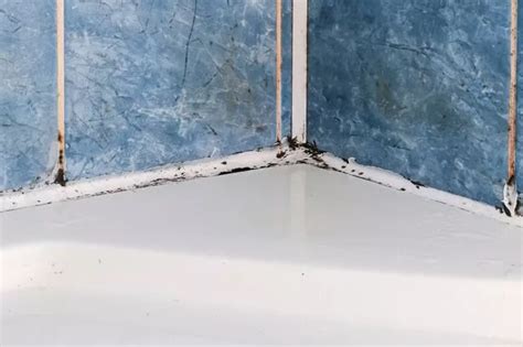 I Moved Into A Mould Filled Property But £3 Miracle Product Saved It