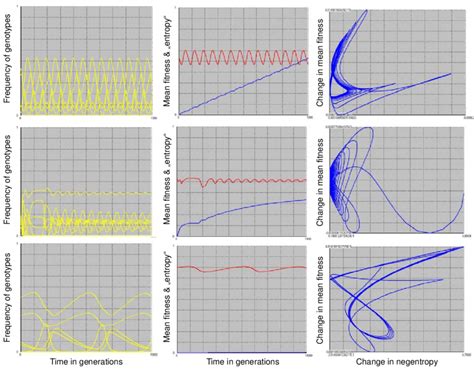 Replicator Systems N10 With Cyclic Behavior In Columns Left