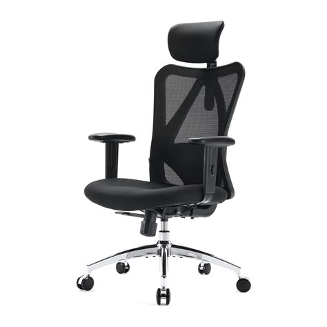 Sihoo M18 Ergonomic Officb07gnddnmw Ve