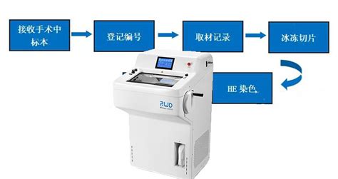 冰冻切片机做冰冻切片有裂隙怎么办？ 瑞沃德资源中心