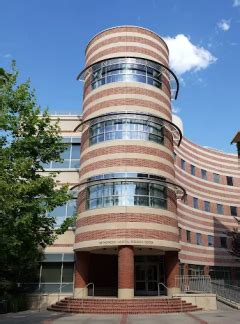 Department Research Orthopaedic Surgery Ucla Health