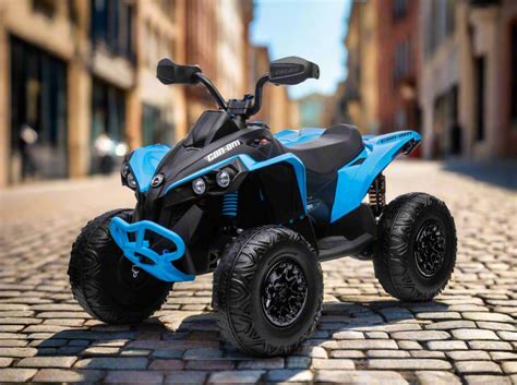 24v Quad Bikes Smart Play Zone