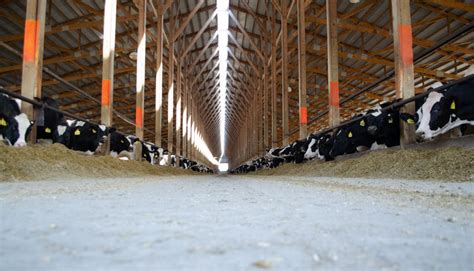 A Back End Look At Ingredient Formulation