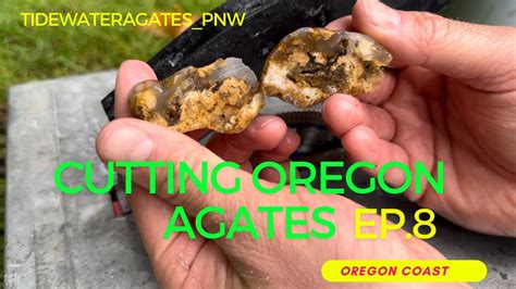 Cutting Oregon Agates Ep8 Youtube