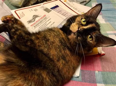 Sweet Freedom Grania Davis Rip Ffb The Investigations Of Avram Davidson Collected Mysteries