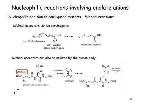 Ppt Nucleophilic Reactions Involving Enolate Anions 2 Powerpoint