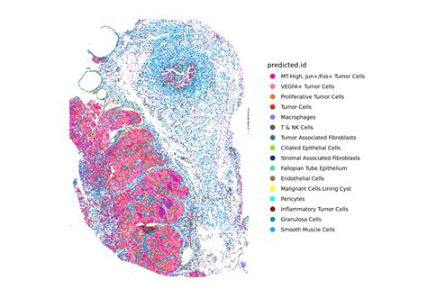 Annotating Cell Types In Xenium In Situ Data With Label Transfer 10x
