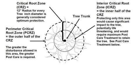 Port Macquarie Tree Service