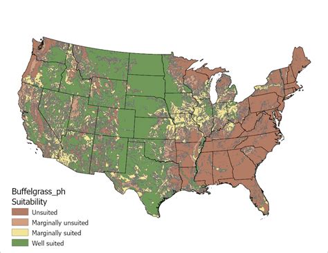Buffelgrass Ph Forage Information System Oregon State University