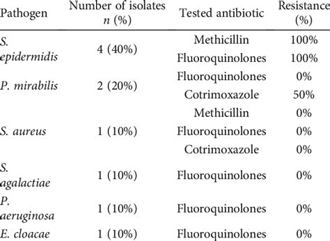 Isolated Pathogens And Their Resistance Pattern Download Scientific Diagram