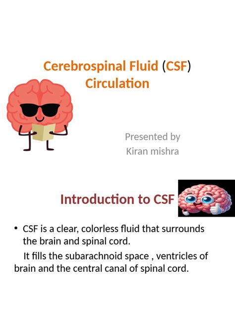 Csf Circulation Presentation Pdf