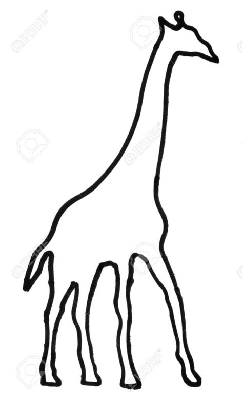 Giraffe Drawing Outline At Getdrawings Free Download