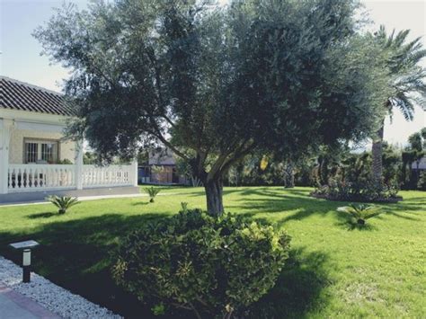 Casas Y Pisos En Murcia — Idealista