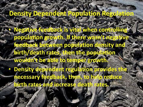 Ppt Population Densitys Effect On Population Growth Powerpoint Presentation Id 2798099