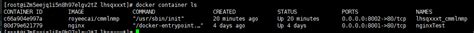 使用nginx代理配置多个dockerweb业务环境都是用80端口docker部署多台nginx 最后用80端口访问 Csdn博客