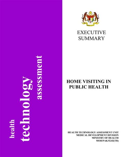 Execuitve Summary Home Visiting In Public Health Pdf