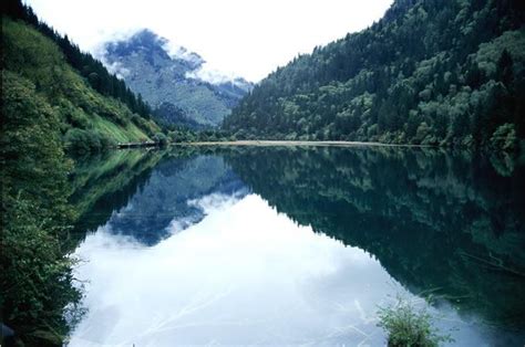 箭竹海 快懂百科