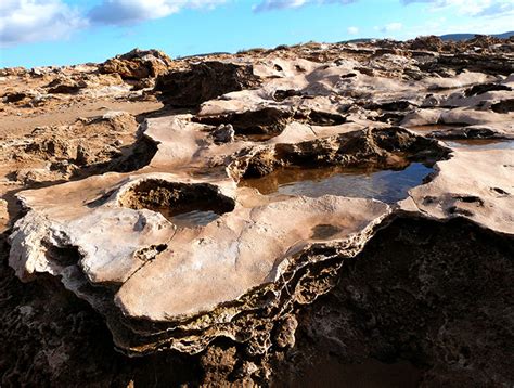 35 Weird Fascinating And Disturbing Statistics About Pretty Much