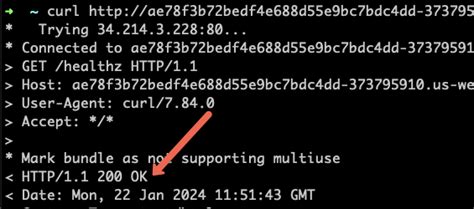 K8s安装nginx Ingress超详细指南 总攻杨零壹