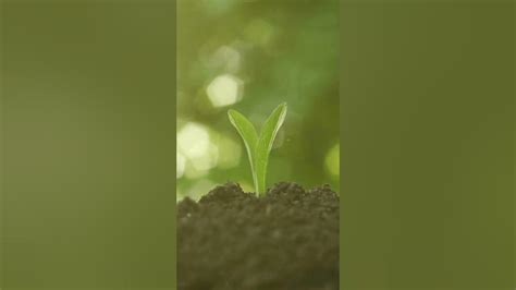 دعاء الابن لأبيه يمنع عذاب القبرك Youtube