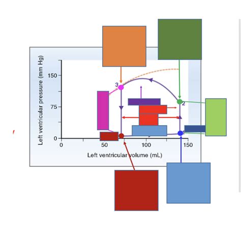 Cell Bio 1 Graphs Diagram Quizlet