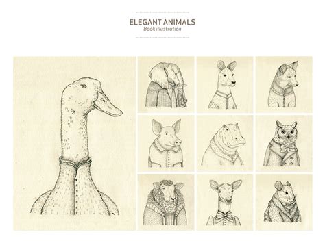 Elegant Animals On Behance
